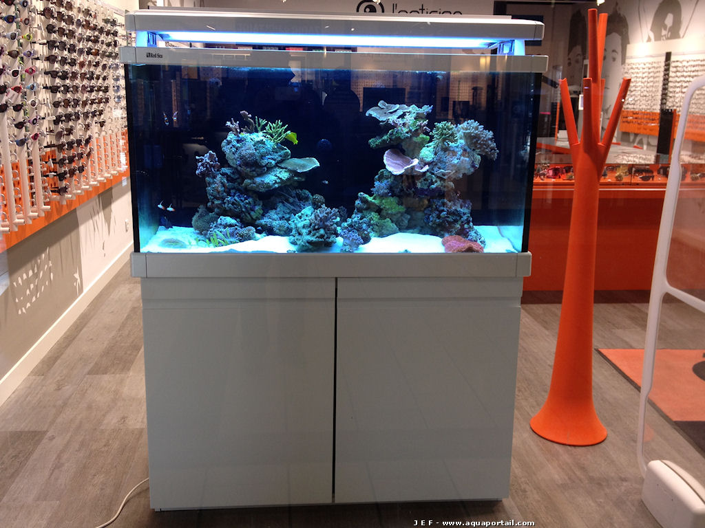 Aquario com Movel Red Sea Max S-500 Black 110v - Itanhaém Reef